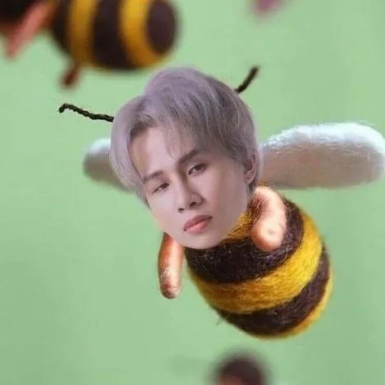 100+ ảnh Jack meme hài hước nhất, cho fan J97 cười cả ngày