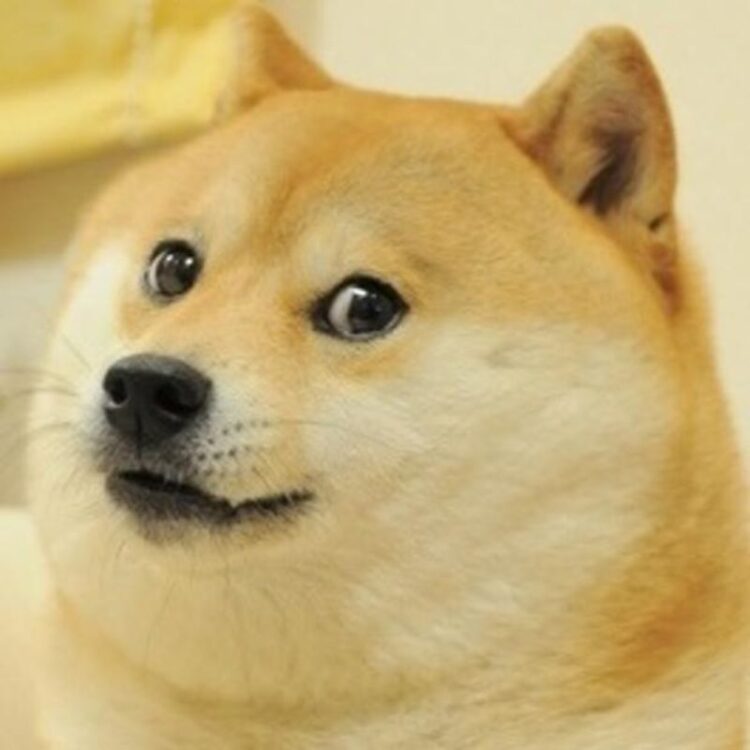Bot Verification