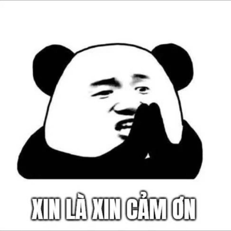 100+ Meme đa tạ hài hước, bá đạo khiến cư dân mạng bật cười