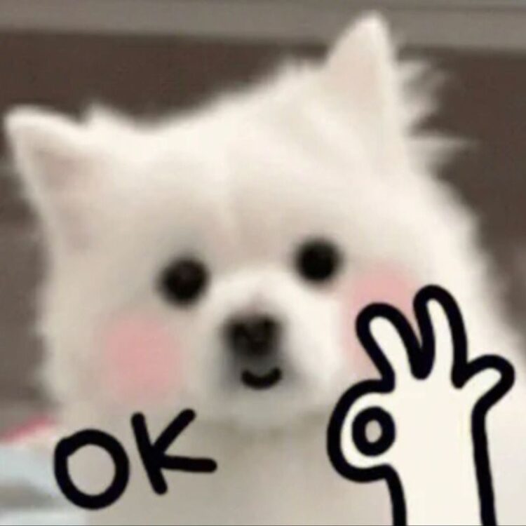 77+ Meme OK hài hước, cute khiến dân mạng cười xỉu