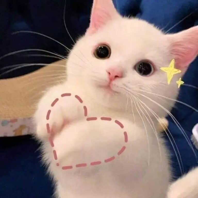 69+ Meme thả tim hài hước, đáng yêu khiến ai cũng tan chảy