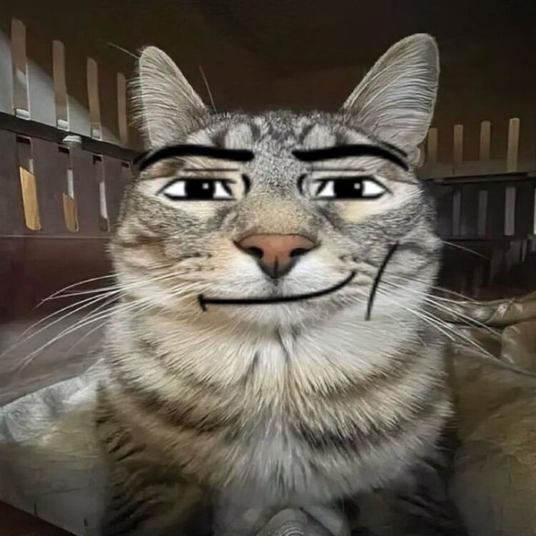 69+ sigma meme cực chất, hài hước khiến dân mạng phát cuồng